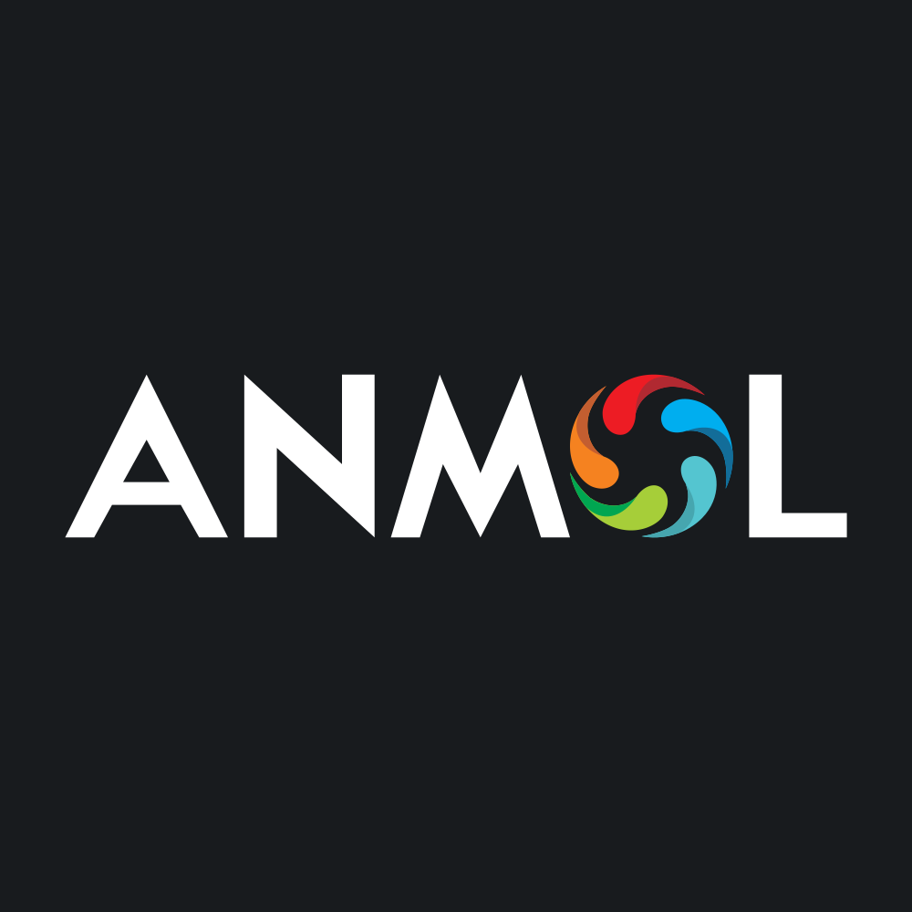 Anmol India Ltd. (ANMOL) Fundamental and Financial Data